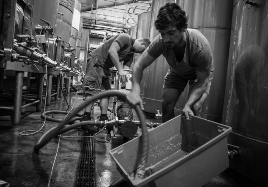 Pét-Nat: Your New Spring and Summer Wine Crush