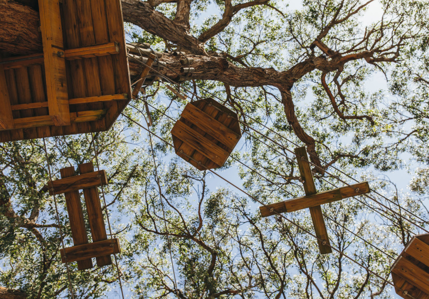 Tree Surfing at the Enchanted Adventure Garden