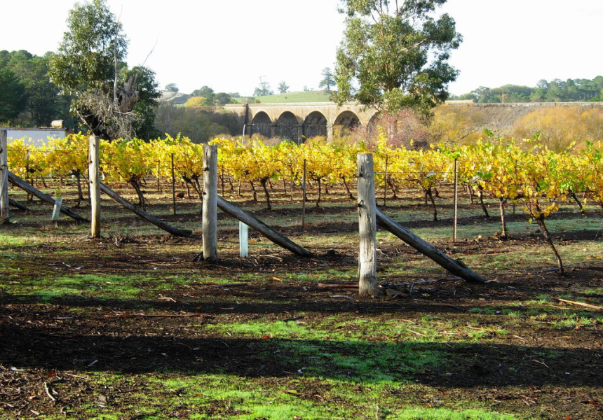 Things To Do in November | Melbourne | Victoria | Broadsheet
