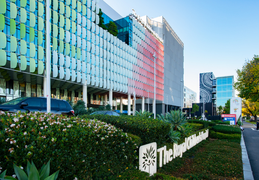 How Elizabeth Close Painted a Four-Storey Mural on a Hospital | Broadsheet