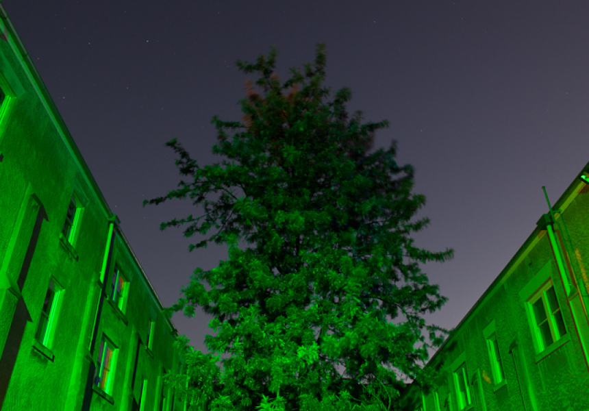 The Shadow Electric Reveals Summer Film Line-up | Broadsheet