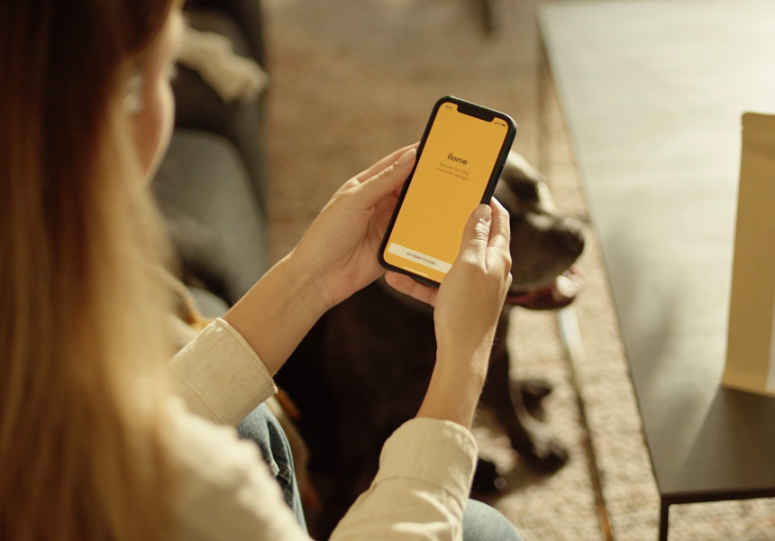 Why Your Dog Loves “Walkies” (And How To Know If They’re Getting Enough ...