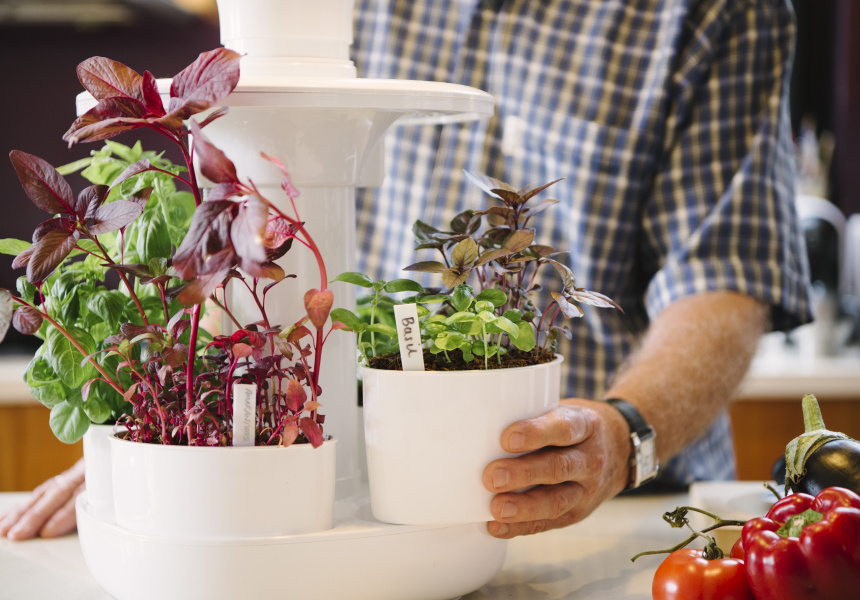 A New Invention Grows Plants on Your Bench | Broadsheet | Broadsheet