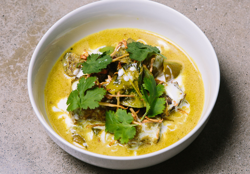 Kid Curry Is Back for the Duration of Lockdown