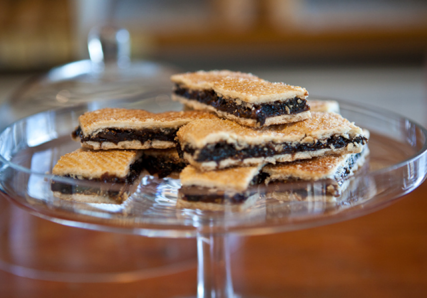 Tea and Biscuits – The Great Garibaldi aka Squashed Flies