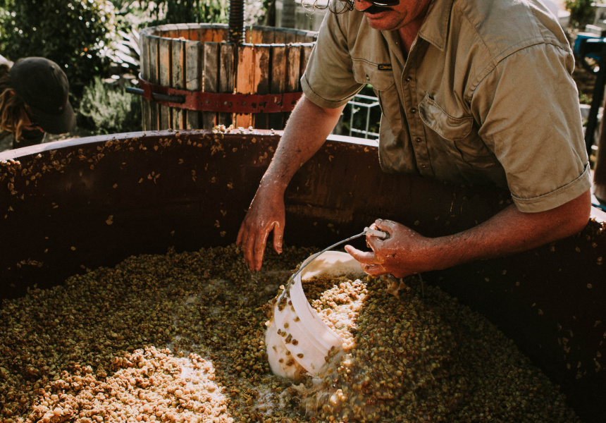 Natural Wine Fave Jilly Wine To Open Its First Cellar Door in Byron