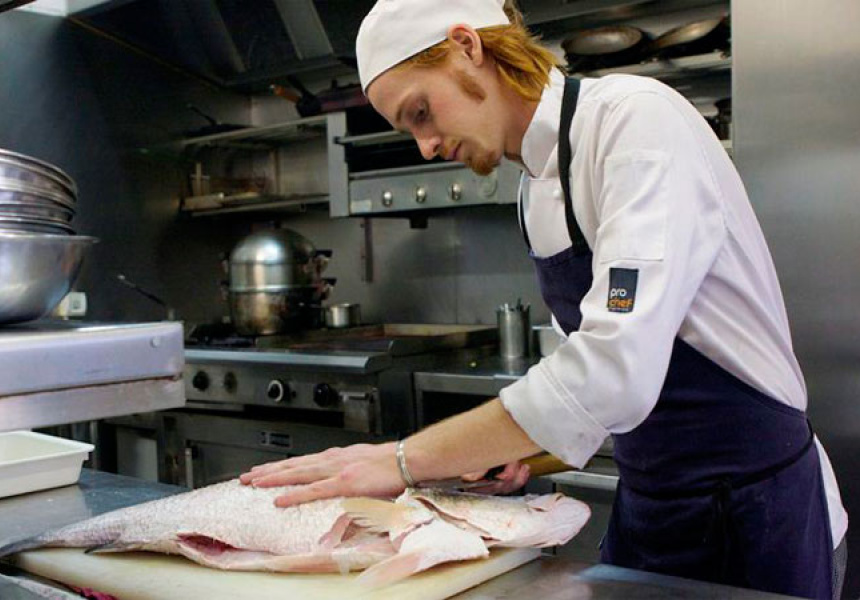 A Website Seperating Good Fish From Bad Fish | Broadsheet