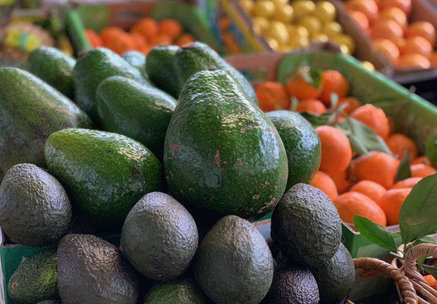 These Giant Avocados Weigh Over a Kilogram