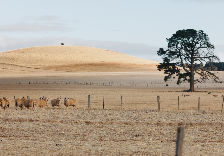 A Timely Guide to Adventures in Central Victoria
