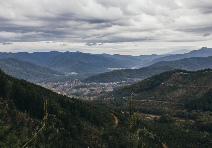 Clear Spot Lookout | Nature | Bright | Melbourne | Broadsheet