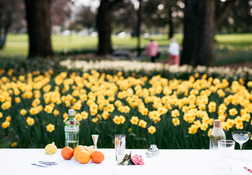 Four Things To Do With Gin This Spring | Cocktails | Broadsheet ...