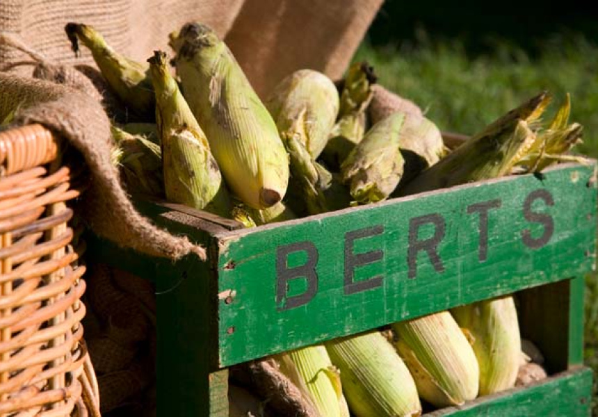 Green is a Delicious Colour | Broadsheet