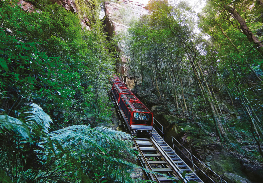 How To Explore the Blue Mountains Sustainably