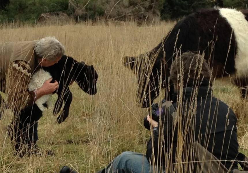 From New York to Warialda: An International Appreciation of Rare Breed ...