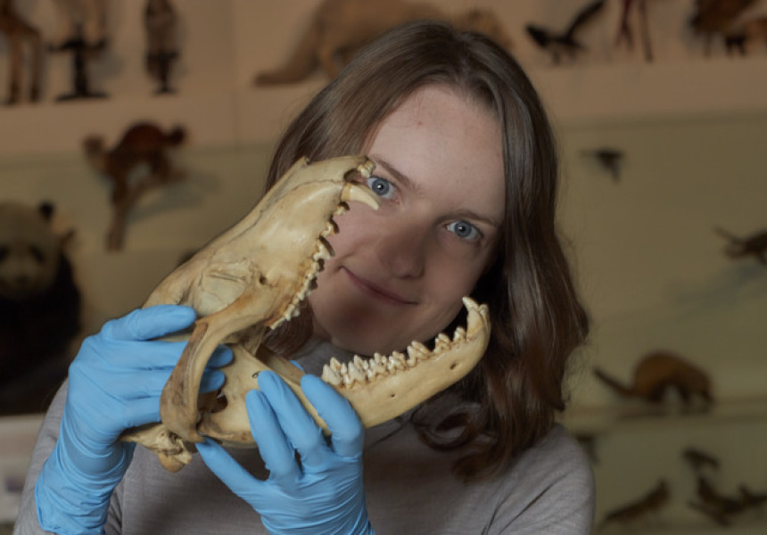 Nocturnal at Melbourne Museum