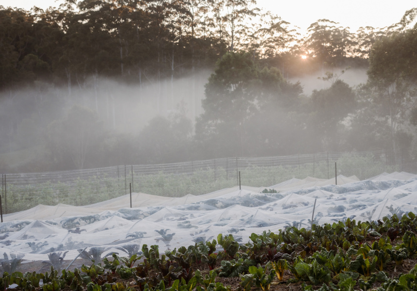 The Falls Farm Team Is Transforming a 112-Year-Old Hinterland Tavern ...