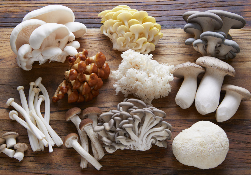 Instead of Supermarket ’Shrooms, Get a Dozen or So Varieties From a ...