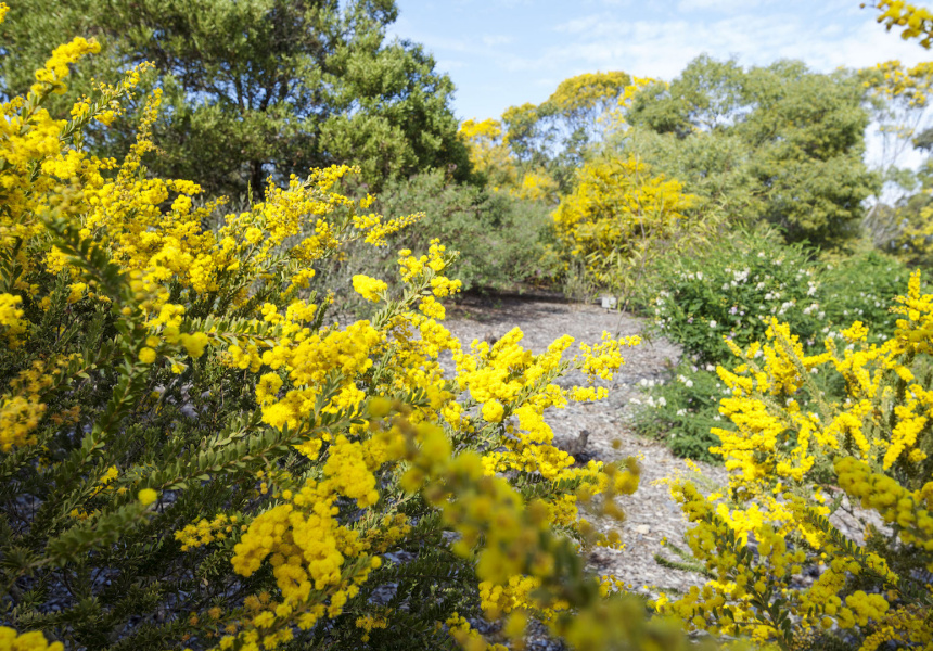Is September 1 Actually the First Day of Spring? You Decide