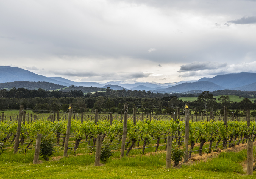 A Guide To Pairing Food With Sparkling Broadsheet