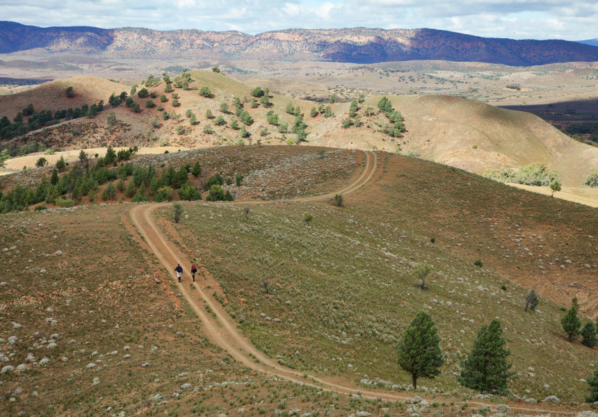 Arkaba Conservancy Is a Quintessential Outback Station With a Touch of ...