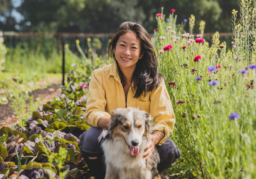 Chat Thai Chef Palisa Anderson and Julie’s Stephannie Liu on Thai and ...