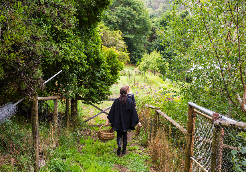 Where To: Adelaide Hills with Sarah Feehan