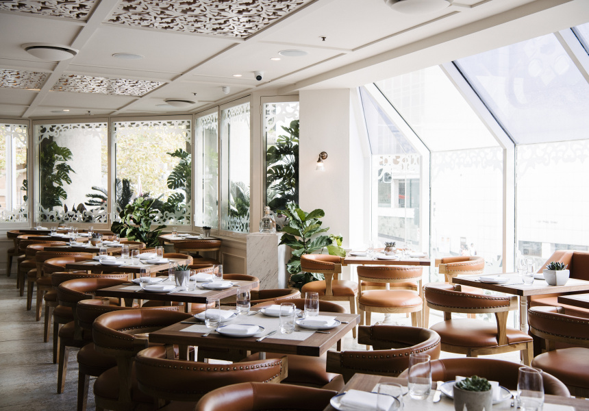 Bar Patrón by Rockpool Opens | Sydney | Broadsheet