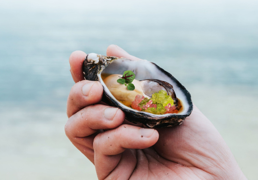 Order Batemans Bay Oysters, Pippies, Rock Lobsters and Whole Fish to ...