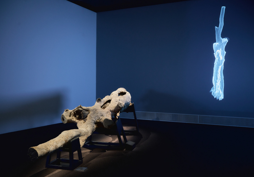 Canoes, Shields and Shade: A New Exhibition Celebrates the Cultural ...