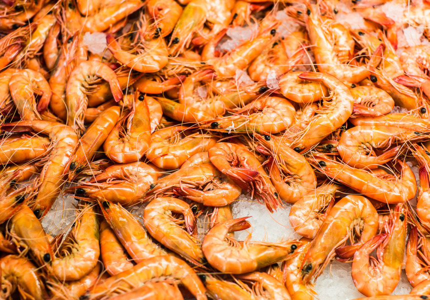 How to Cook Seafood (So it’s Perfect Every Time)