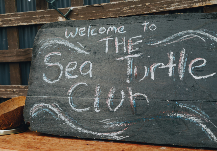 Now Open: The Sea Turtle Club Floats onto Brunswick Street