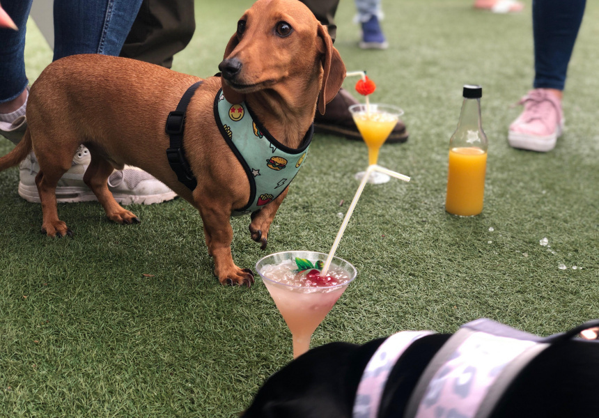 Snack Bar: Melbourne's Latest in Food, November 18, 2019