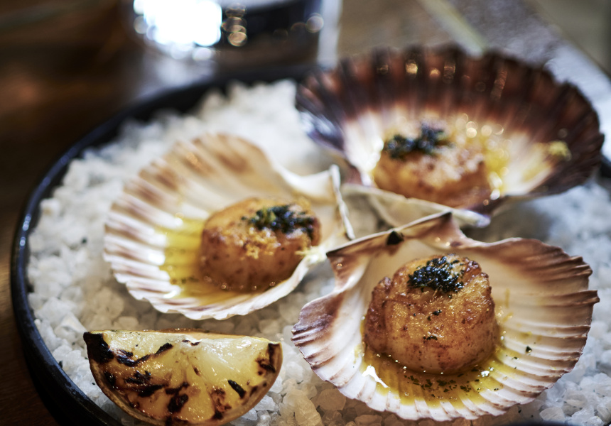 Step Back in Time to ’40s Mexico City at Bohemian Bar and Restaurant ...