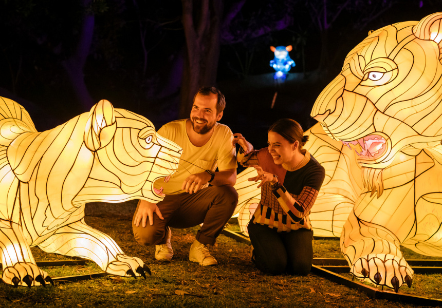 Wild Lights at Taronga Zoo
