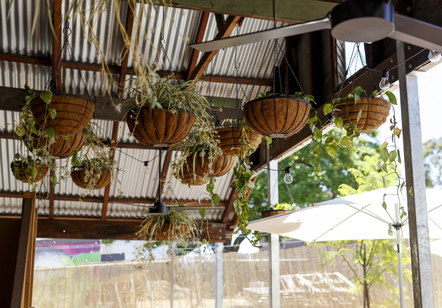 King Somm | Bar | Bayswater | Broadsheet Perth | Broadsheet