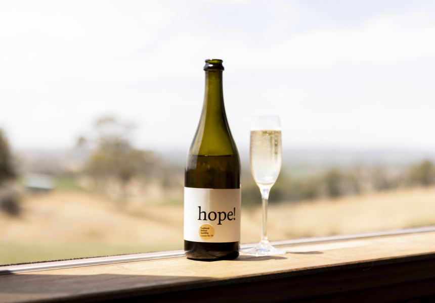 Now Open: Tilbrook Estate Unveils a Breathtaking Eco-Friendly Cellar ...