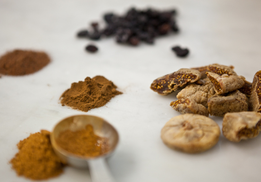 Tea and Biscuits – The Great Garibaldi aka Squashed Flies