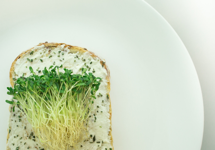 Expand Your Palate Expand Your Palate