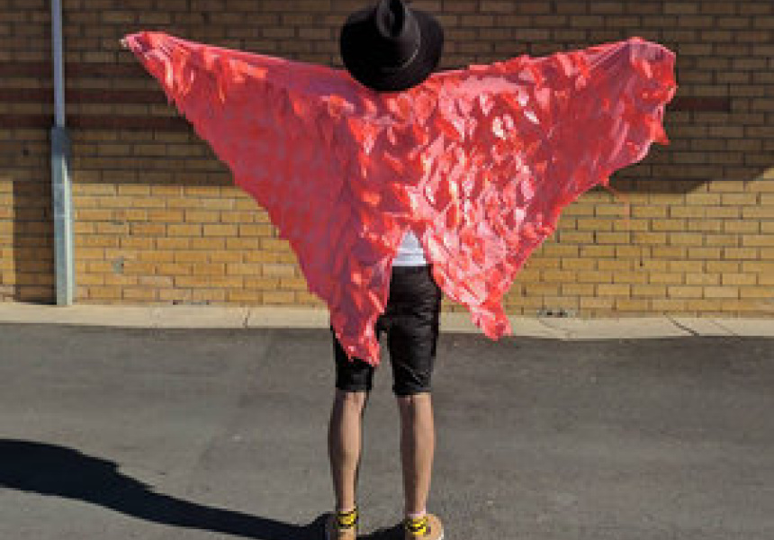 The Anstey Village Festival Cape Party 2017