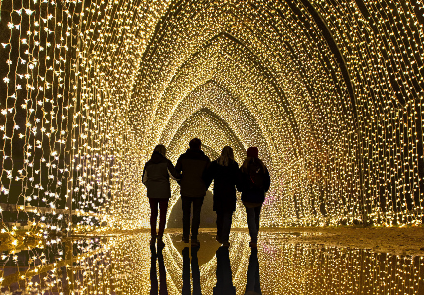 Finished: Lightscape at Royal Botanic Gardens
