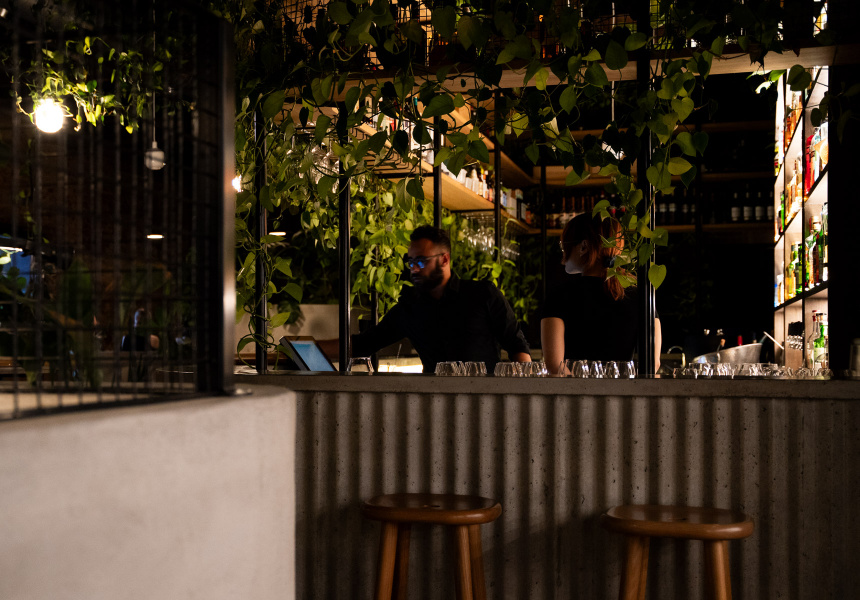 Canopy Bar Springs to Life With Stem Alums at the Helm and a Killer ...