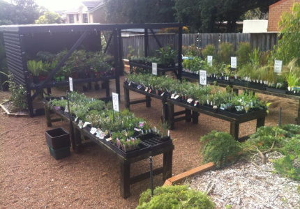 Best Nurseries and Plant Shops in Sydney