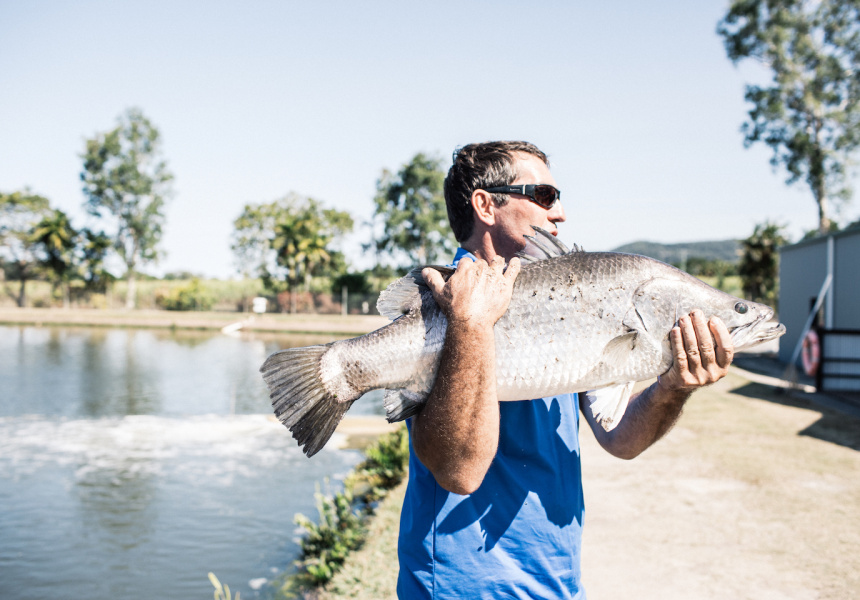 Big Fish in Small Ponds