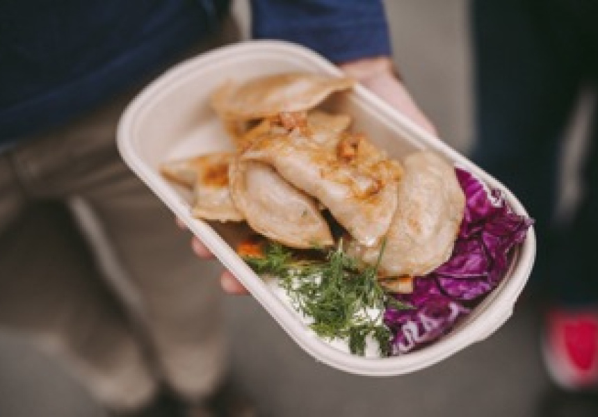 Pierogi Pierogi May Day Party