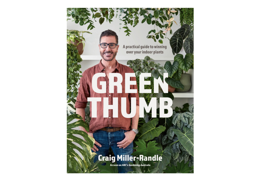 How To: Repot Your Plants (Without Killing Them in the Process)