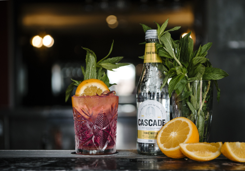 Recipe: A Fruity G&T | Broadsheet