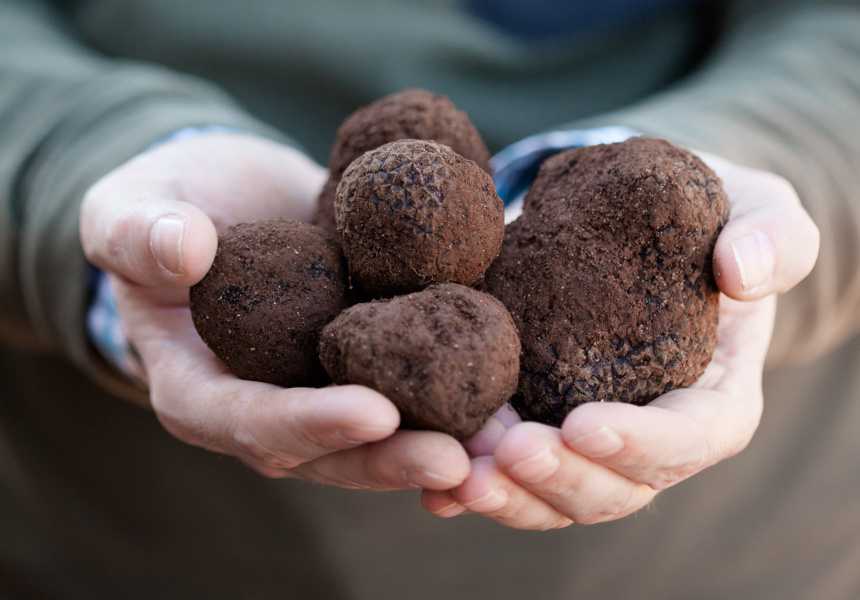 Bite Size: Six New Things in Perth You Need to Know This Week – June 16 ...