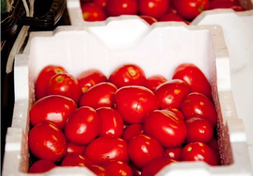 Get Messy at Melbourne's Tomato Festival