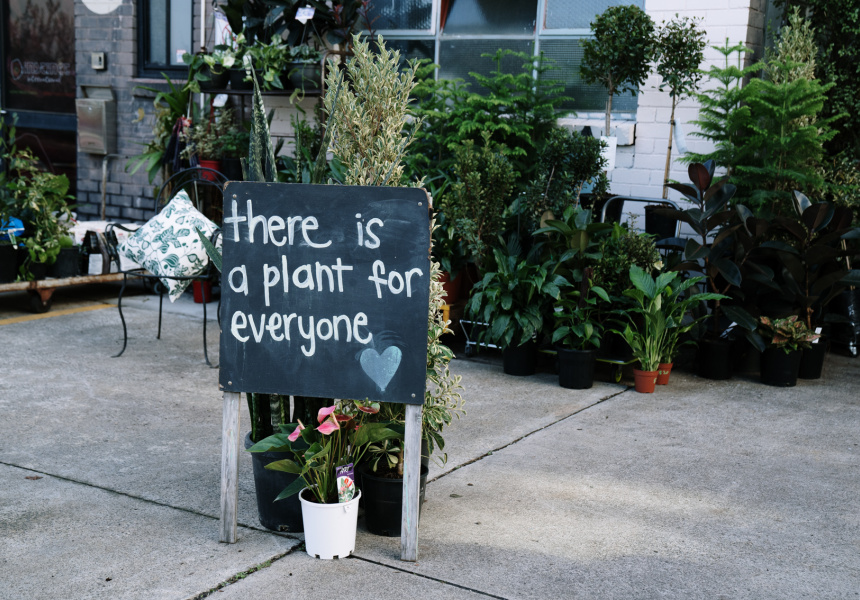 Botanicah Is a Sprawling, 350-Square-Metre Plant Shop in a Former ...