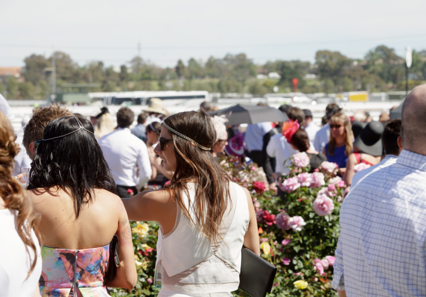 Your Race-Day Essentials